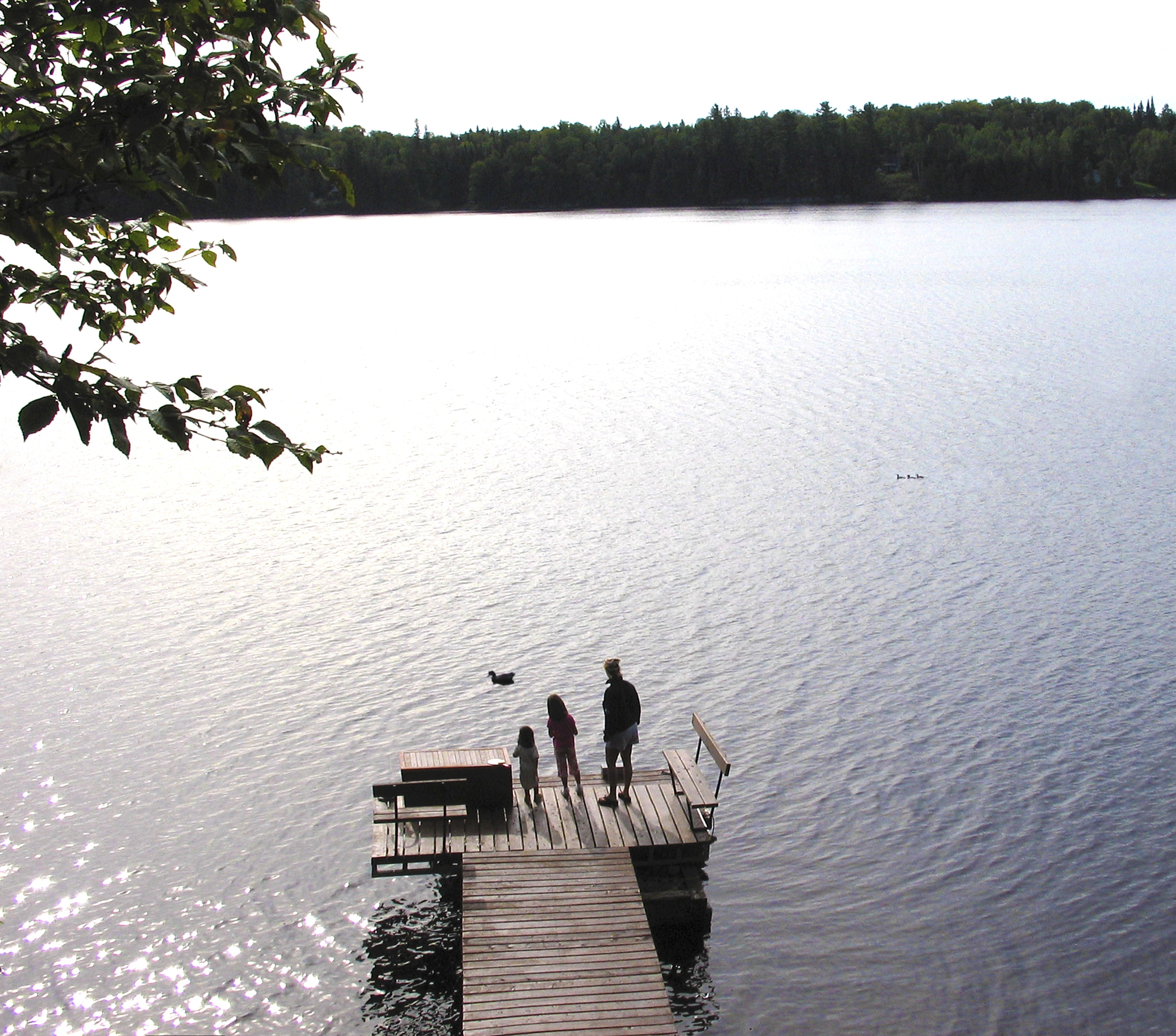 ‘Tis the (Cottage) Season: Succession Planning for the Family Cottage ...